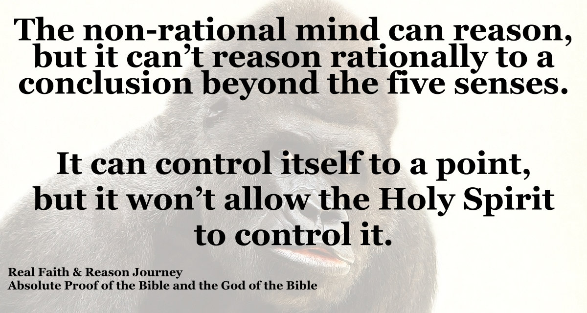 Rational vs. Not Rational - Real Reality